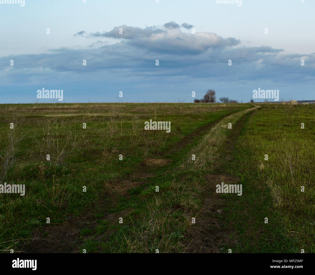 Road going into the distance hi-res stock photography and images - Alamy