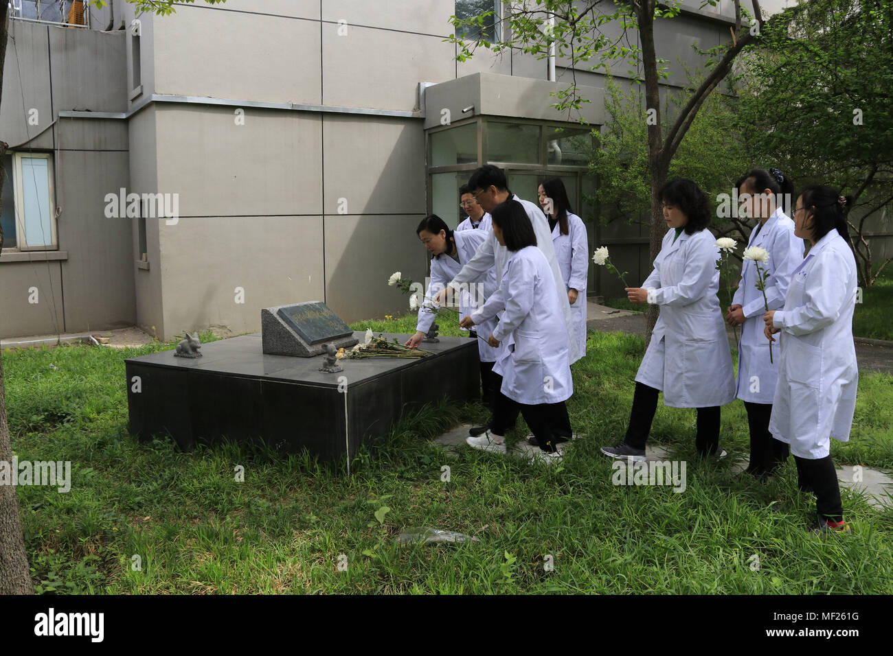 Laboratory animals hi-res stock photography and images - Alamy