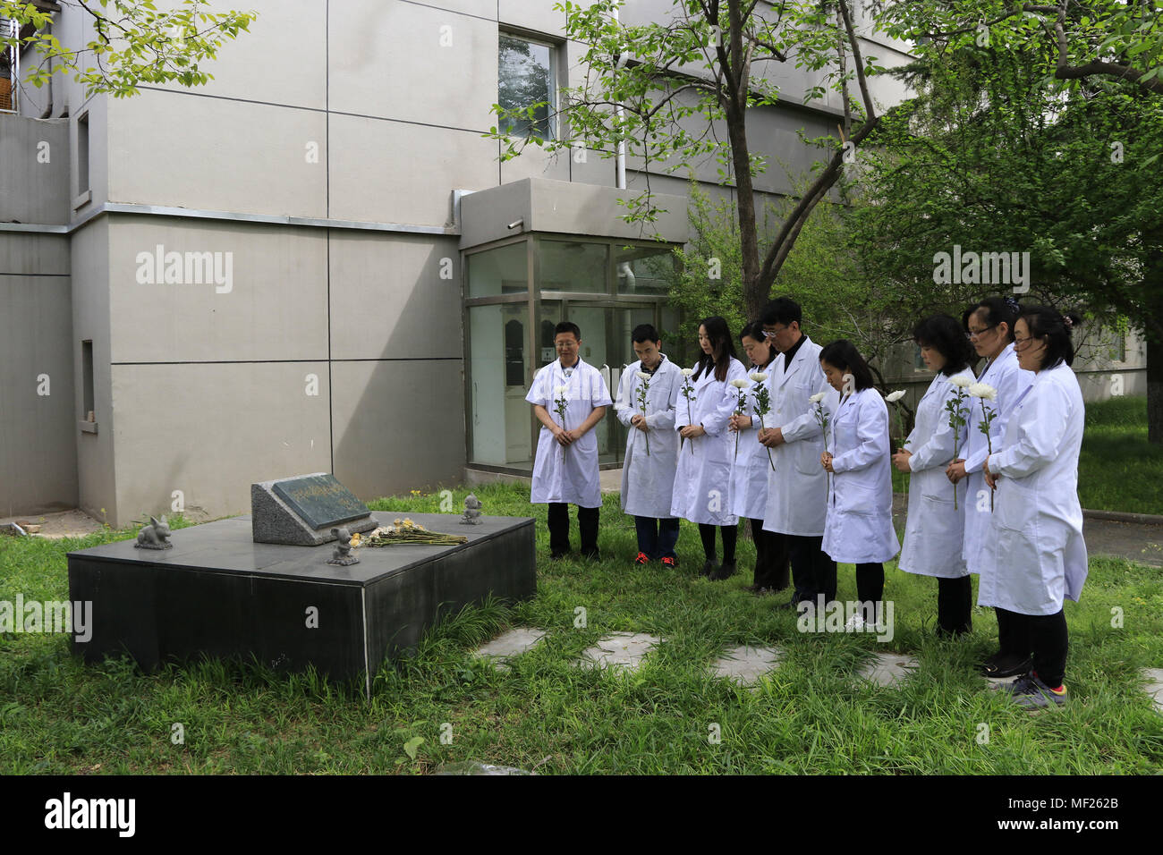 Laboratory animals hi-res stock photography and images - Alamy