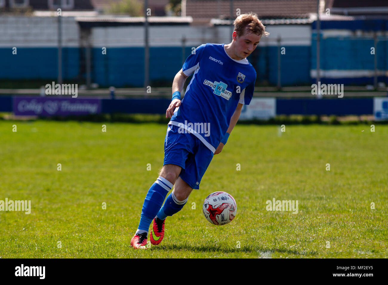 Dylan llewellyn hi-res stock photography and images - Alamy