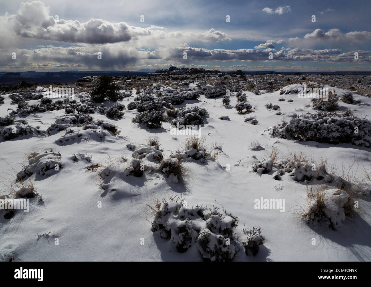 Fresh Snow, Arches National Park, Moab, Utah, USA Stock Photo - Alamy