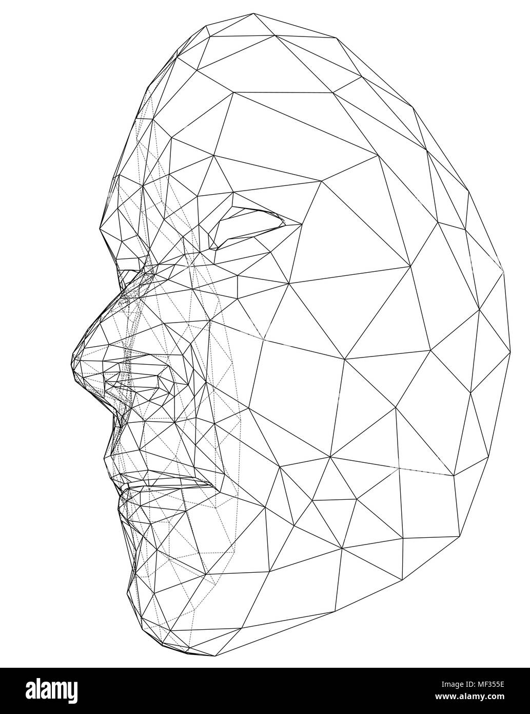 Wire-frame abstract human face Stock Vector Image & Art - Alamy