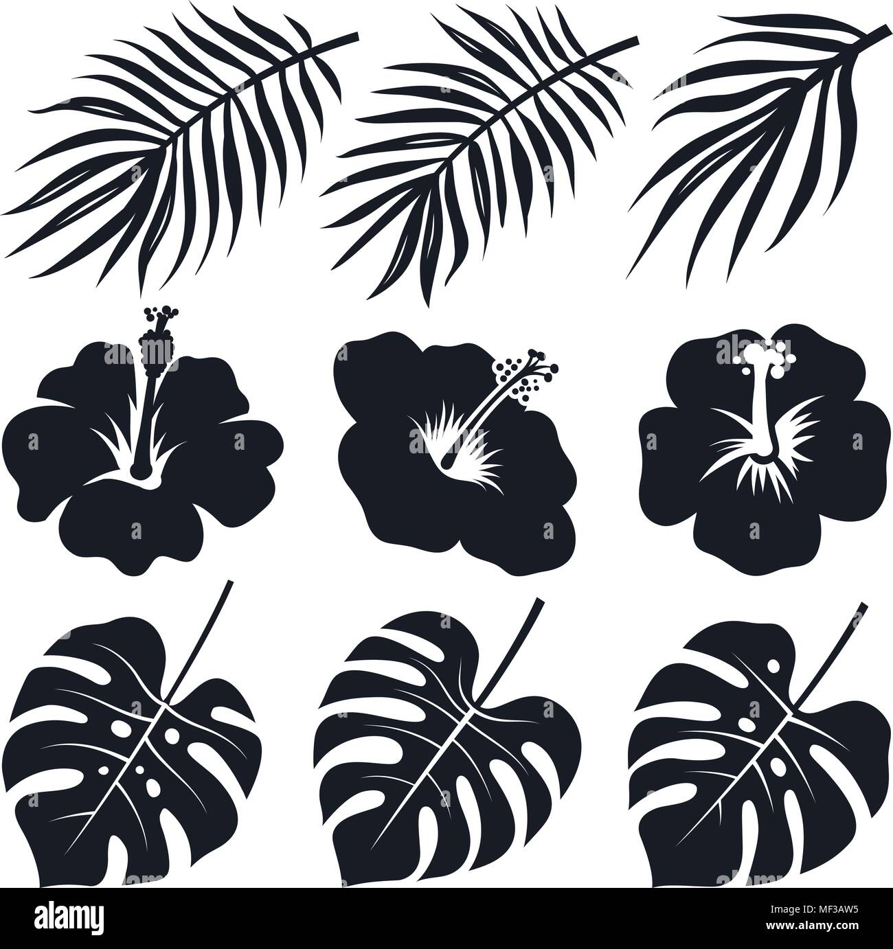 Tropical leaves and flowers. Monstera, hibiscus, coconut palm. Vector ...