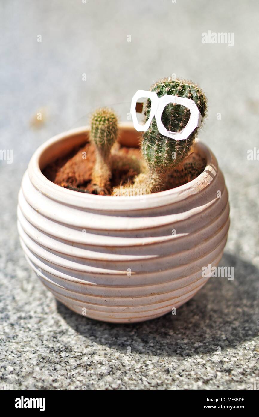 Couple cute cartoon character hi-res stock photography and images - Alamy