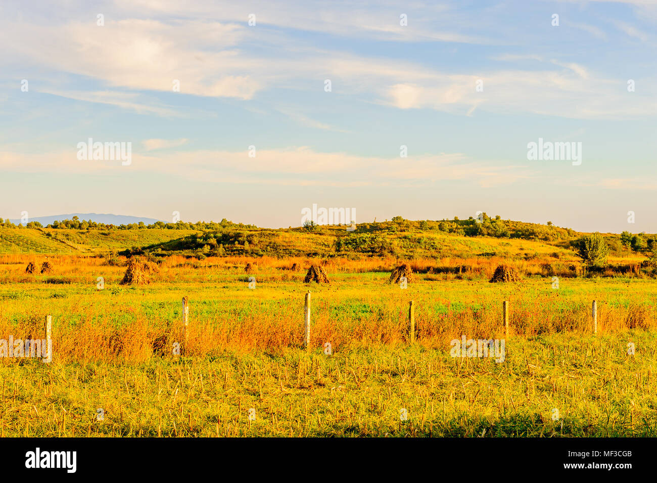 Field in Albania Stock Photo - Alamy