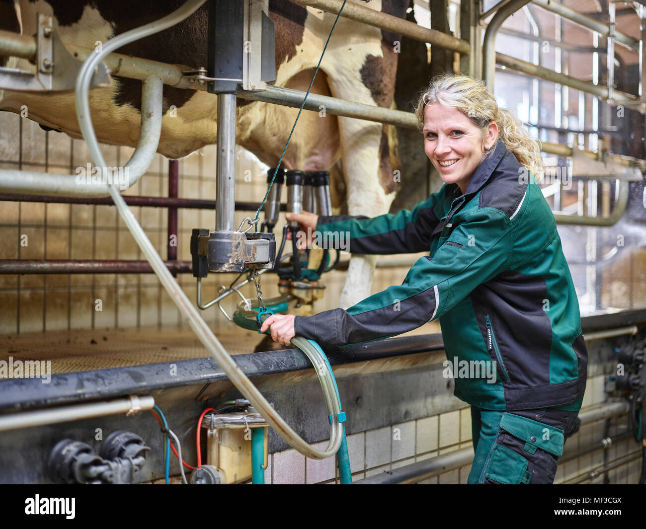 Woman milking cow machine hi-res stock photography and images - Alamy