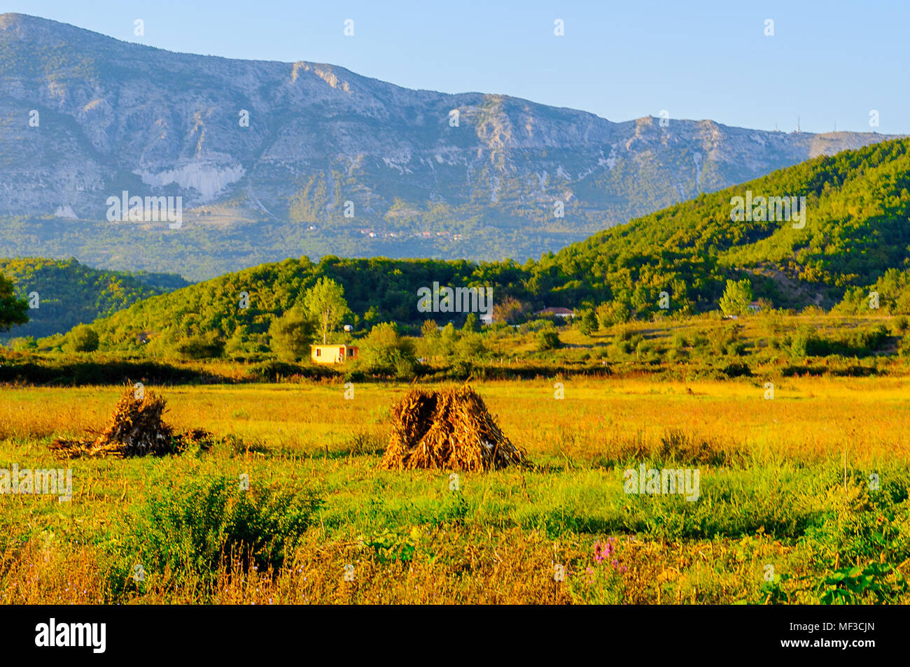Field in Albania Stock Photo - Alamy