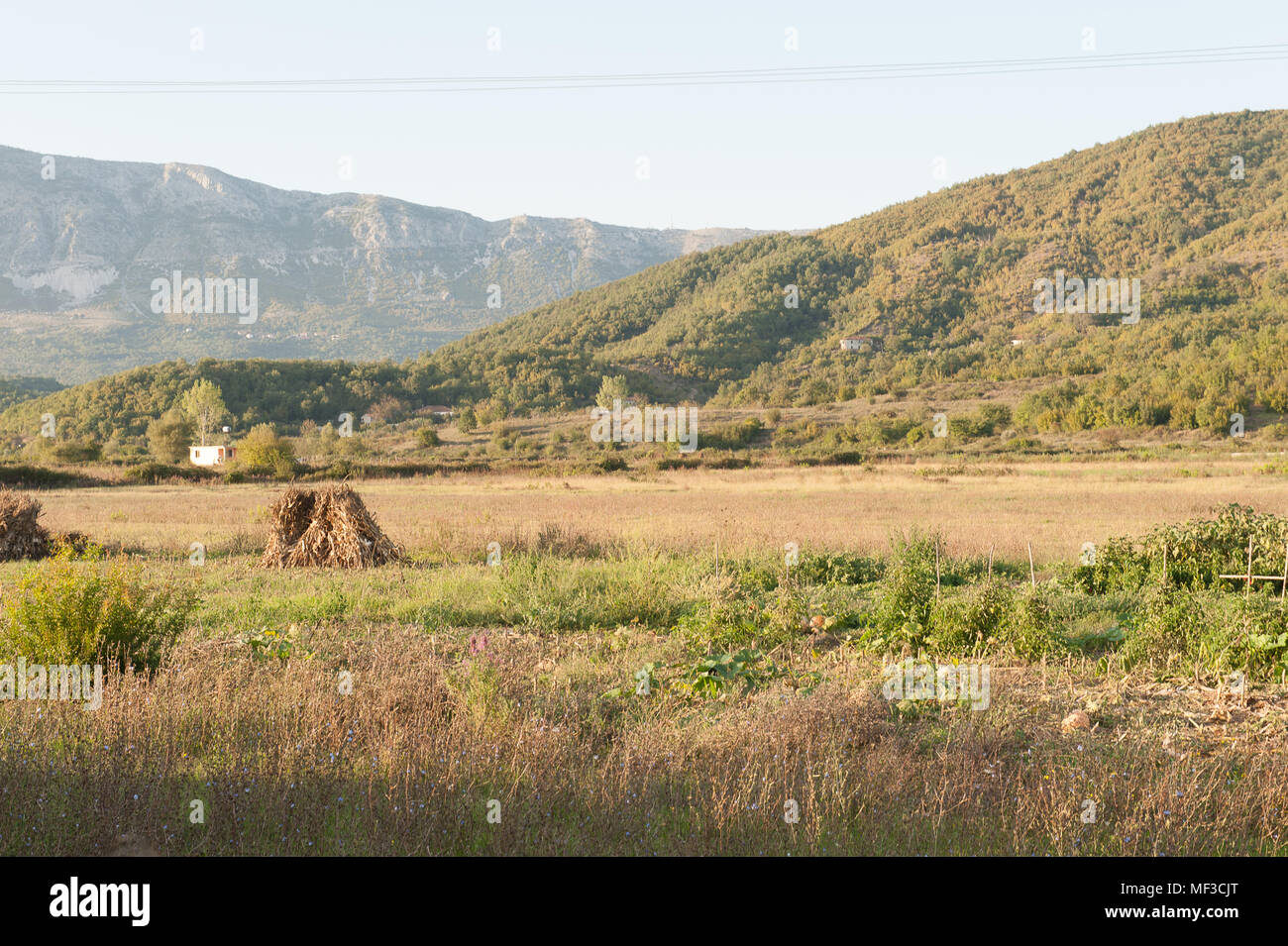 Field in Albania Stock Photo - Alamy