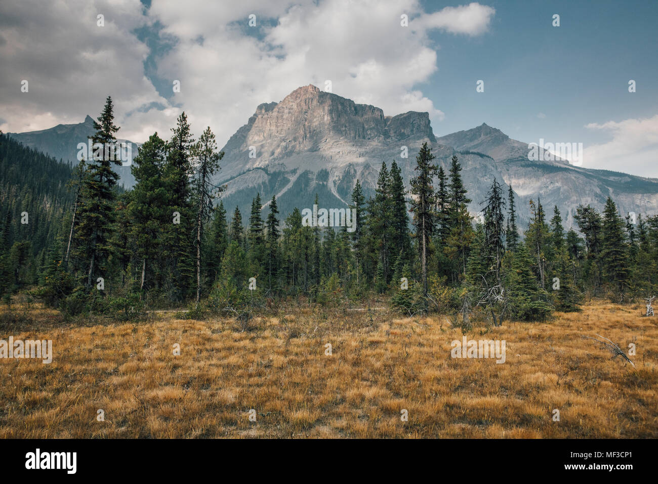 Columbia peak hi-res stock photography and images - Alamy