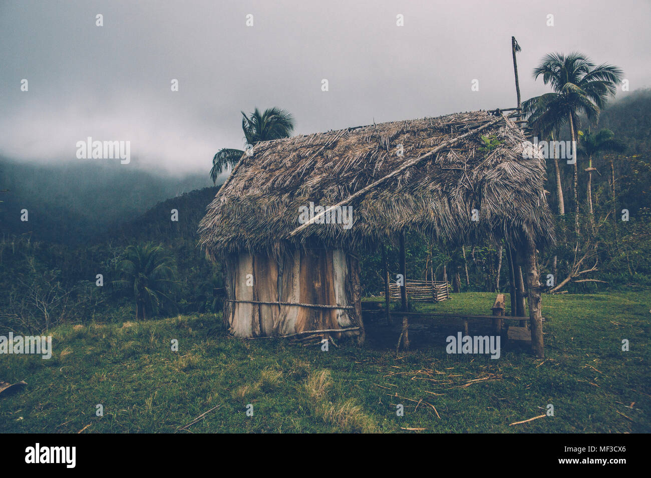Cuba, Hut at Alejandro de Humboldt National Park Stock Photo - Alamy