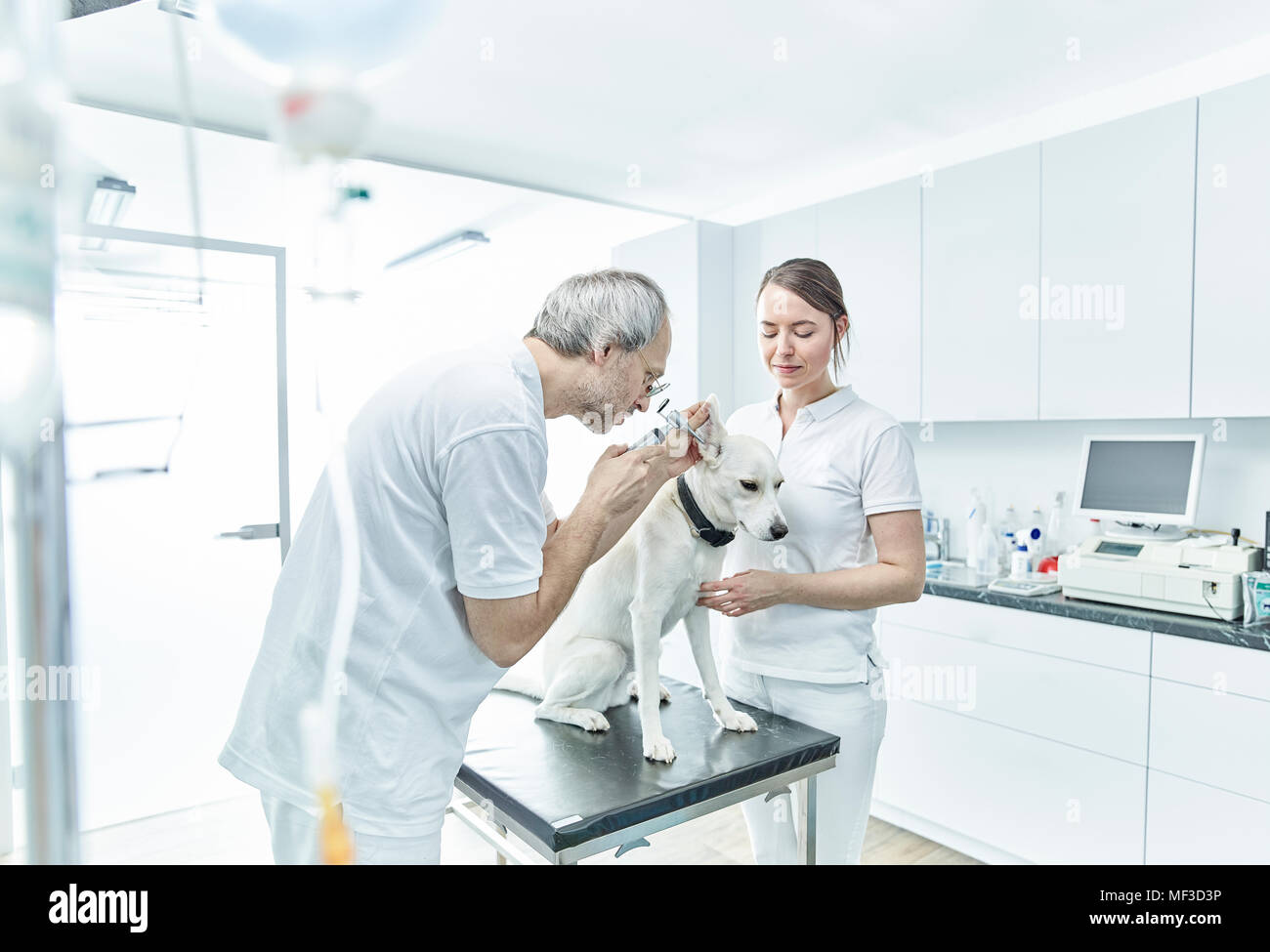 Nursing assistant hi-res stock photography and images - Alamy