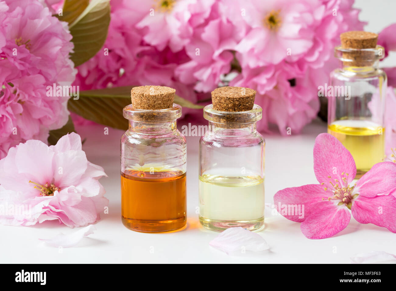 Bottles of essential oil with pink cherry blossoms on a white ...