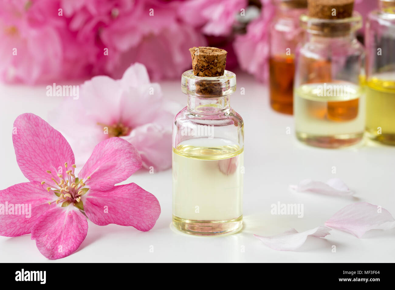A bottle of essential oil with pink cherry blossoms on a white ...