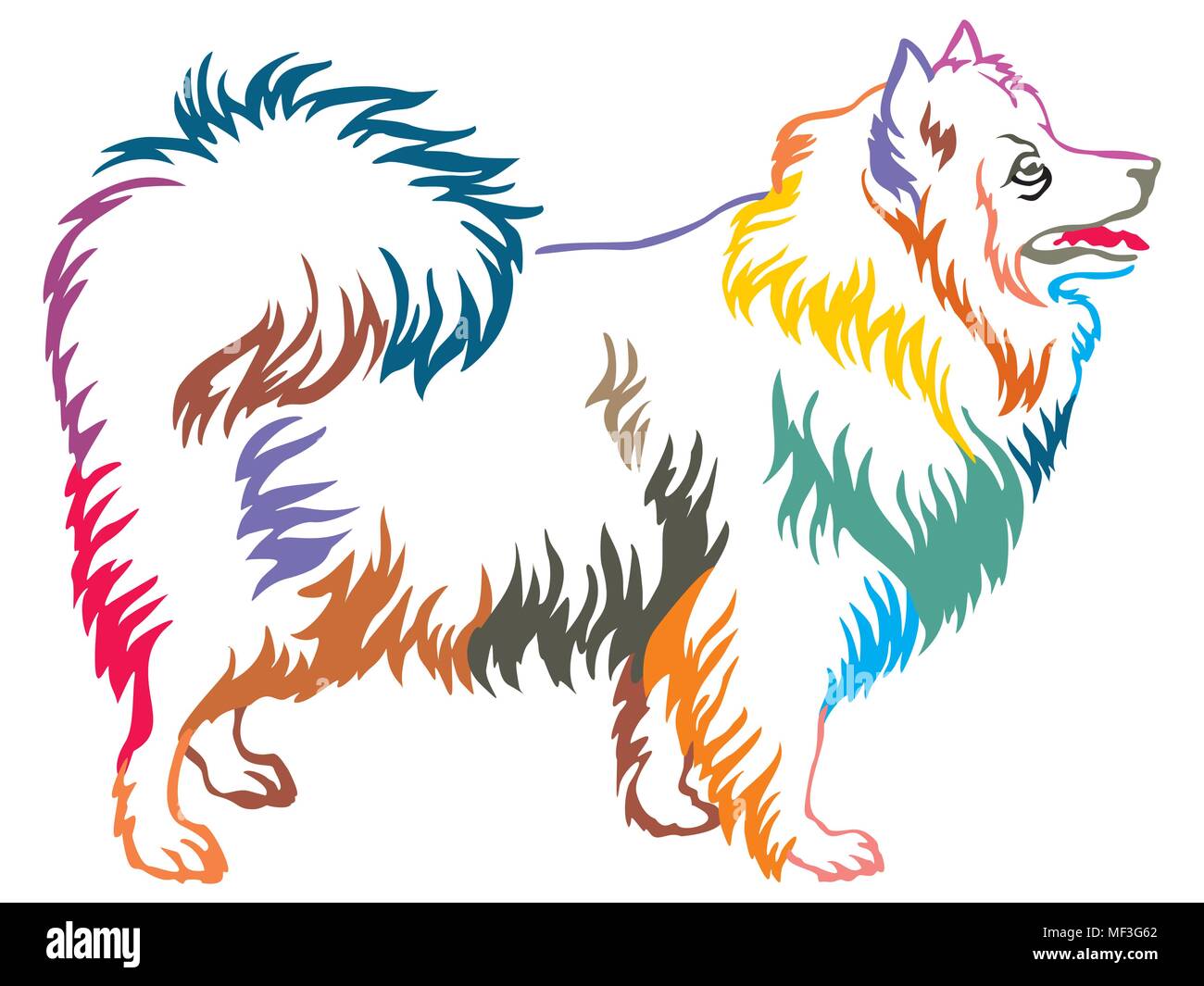 Japanese spitz vector vectors Cut Out Stock Images & Pictures - Alamy