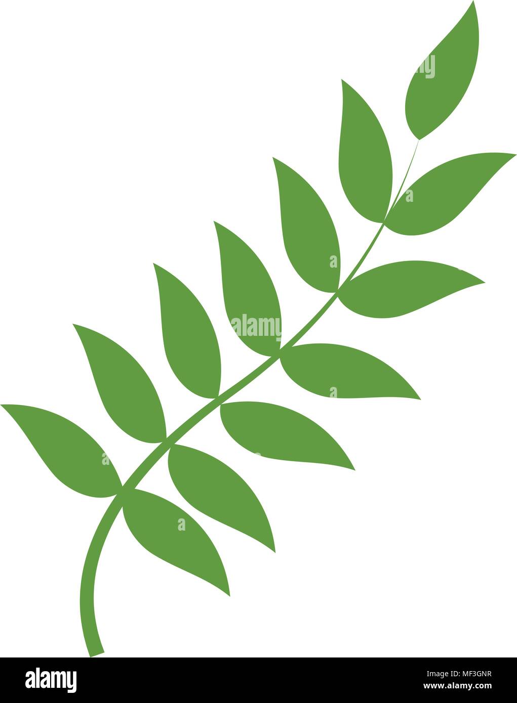 nature plant branch with leaves design vector illustration Stock Vector ...