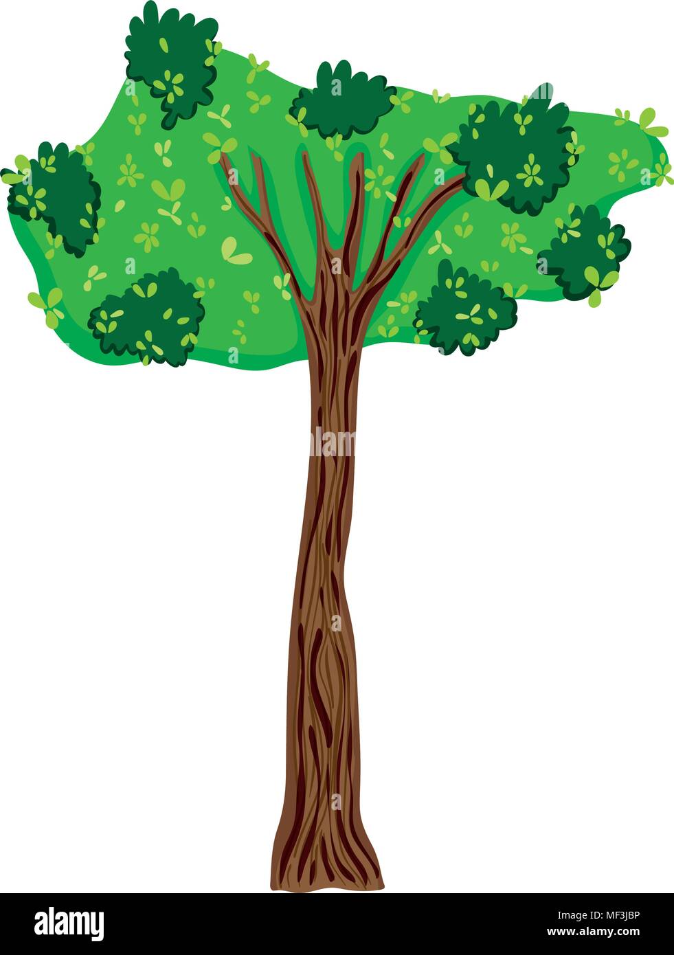 tropical tree with nature branches leaves vector illustration Stock ...