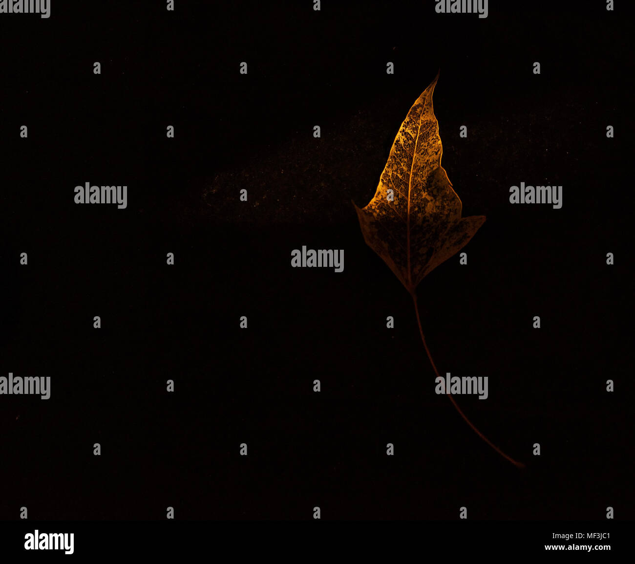 Golden text on transparent background hi-res stock photography and ...