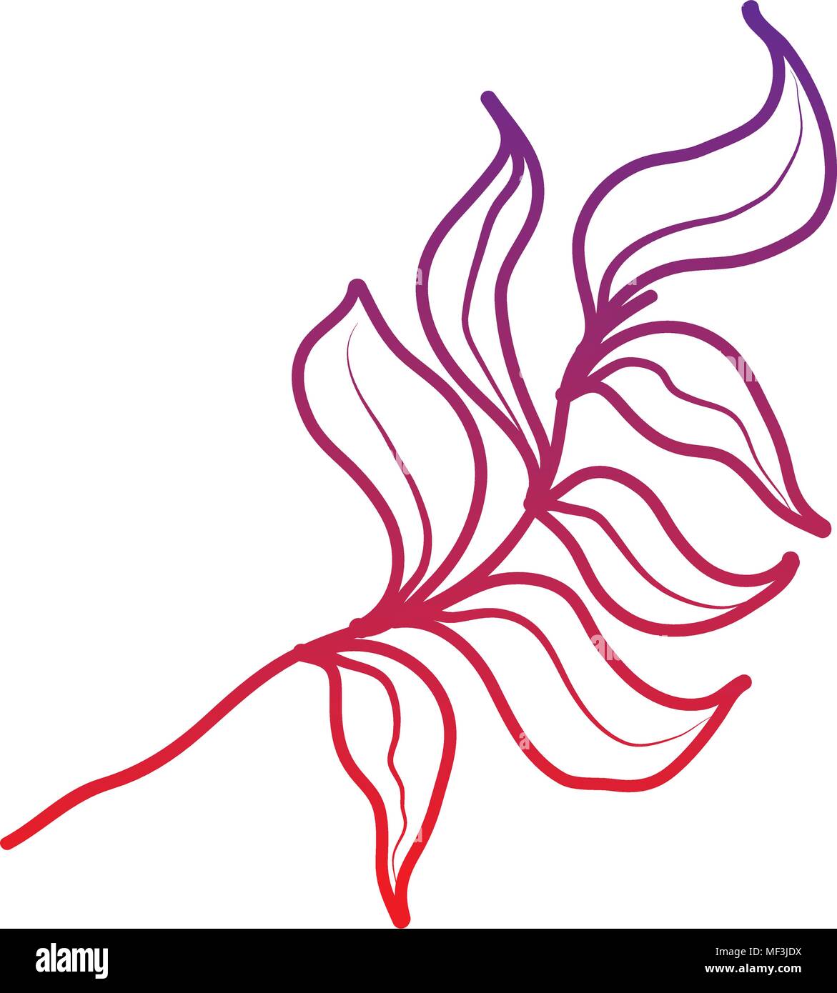 degraded line beauty branch exotic leaves style vector illustration ...