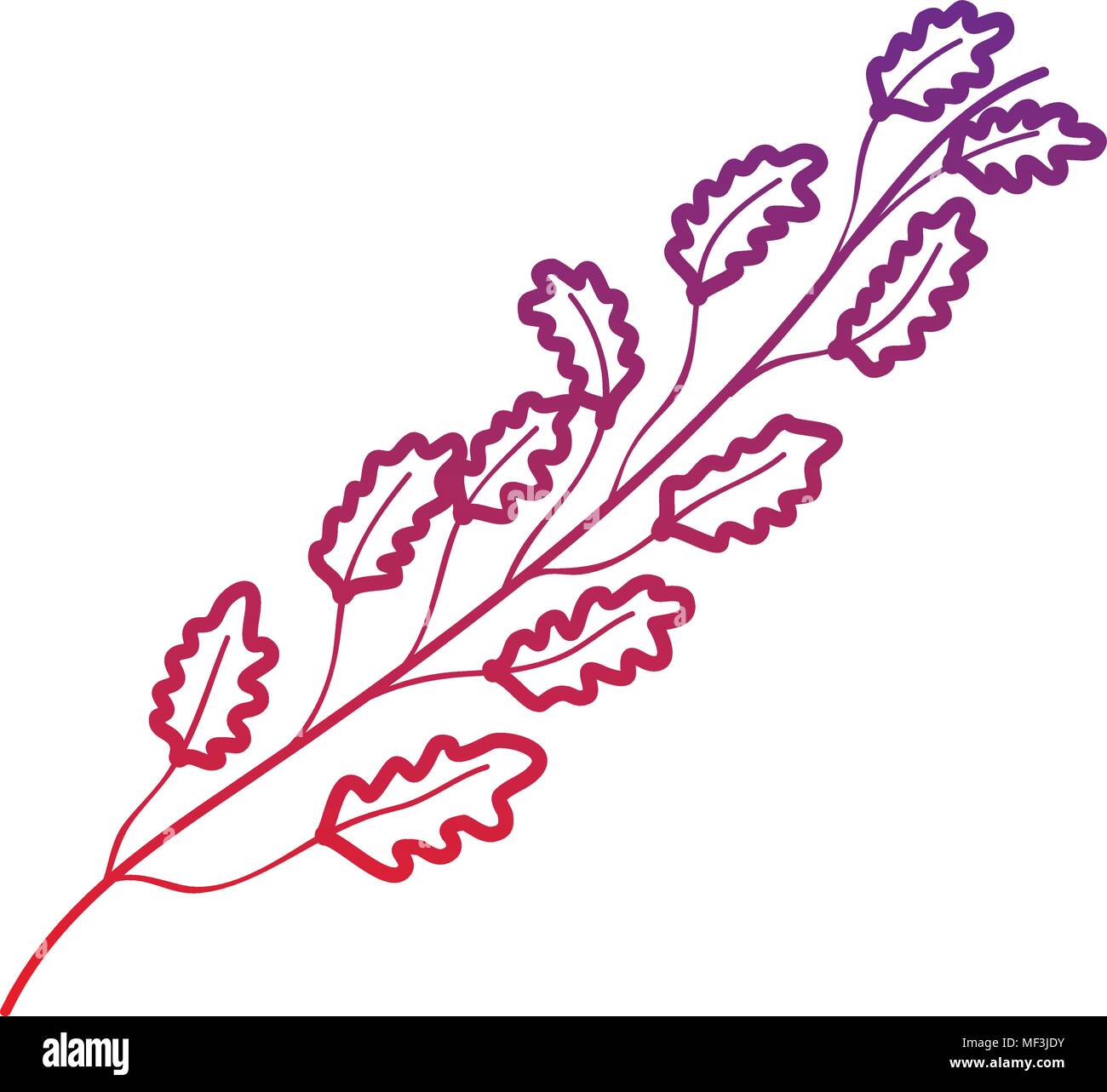 degraded line cute exotic branches leaves style vector illustration ...