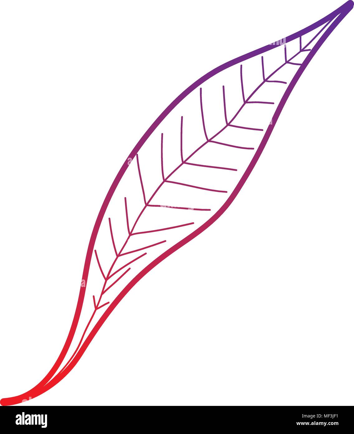 degraded line nice leaf style of nature tree vector illustration Stock ...