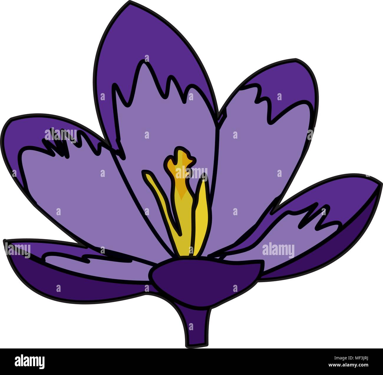 color natural beauty flower with cute petals vector illustration Stock ...