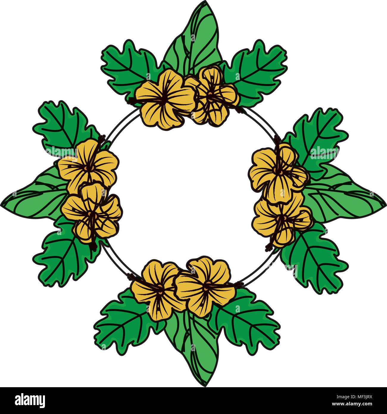 color circle natural flowers and leaves decoration vector illustration ...