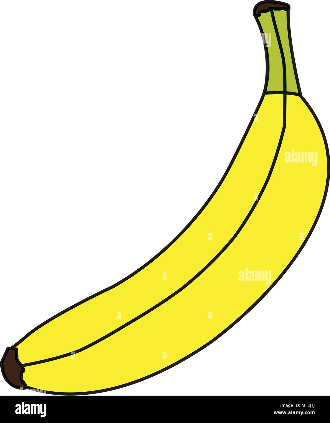 color delicious banana organic fruit nutrition vector illustration ...