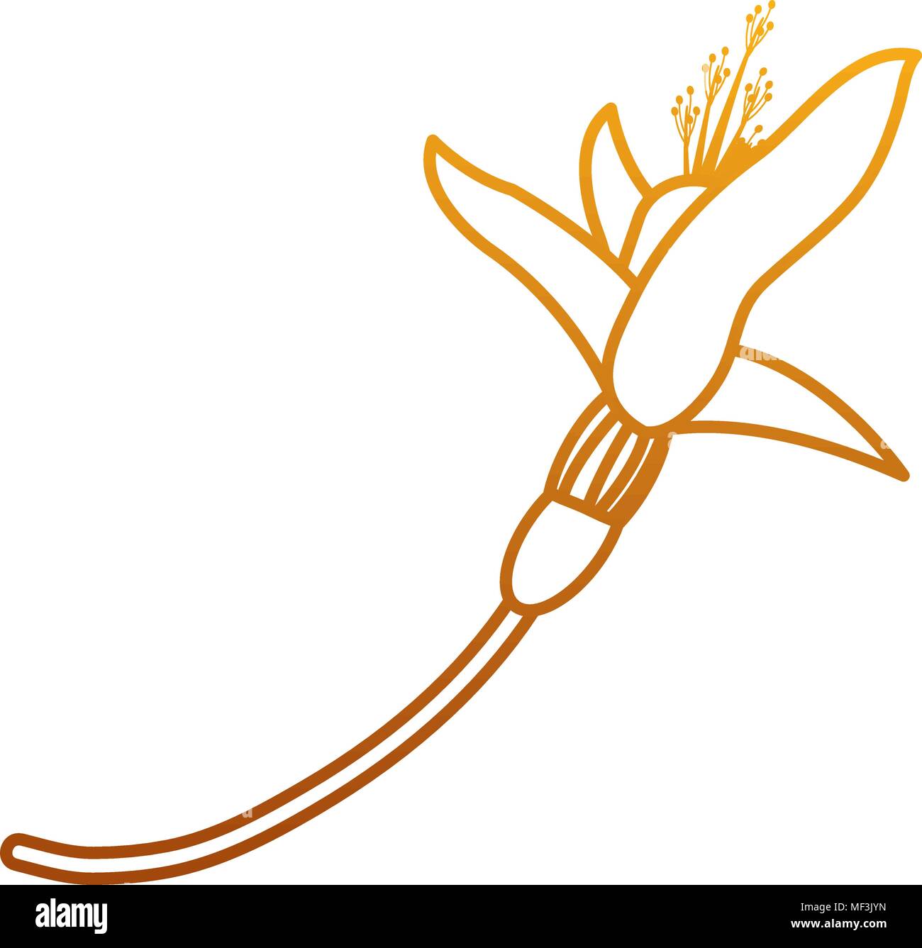 degraded line nature flower tropical plant decoration vector ...