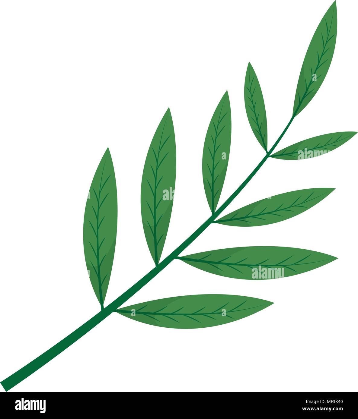 nature plant branch with leaves design vector illustration Stock Vector ...