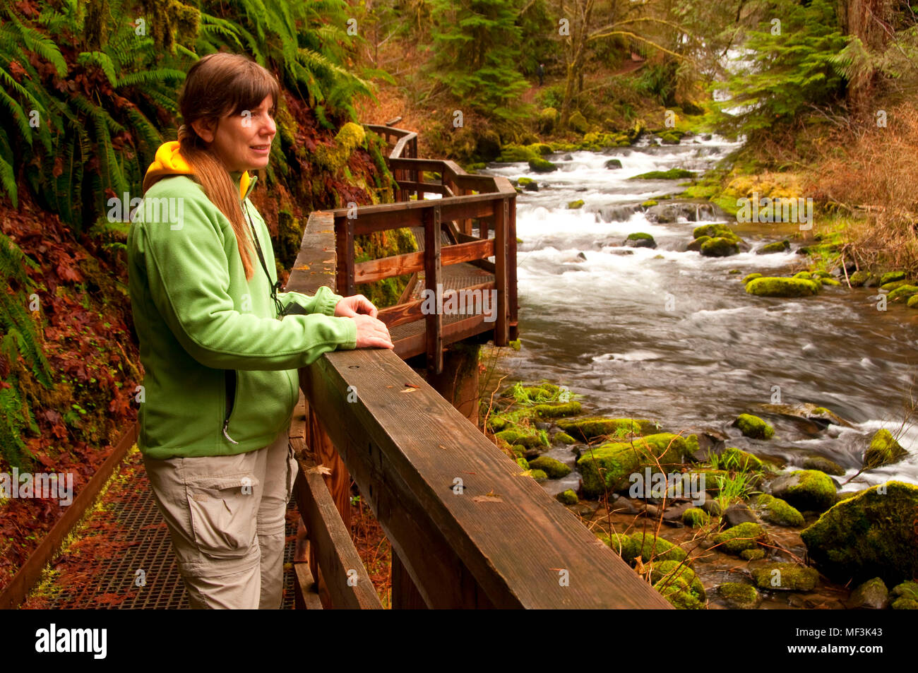 Catwalk on Sweet Creek Trail, Siuslaw National Forest, Oregon Stock ...