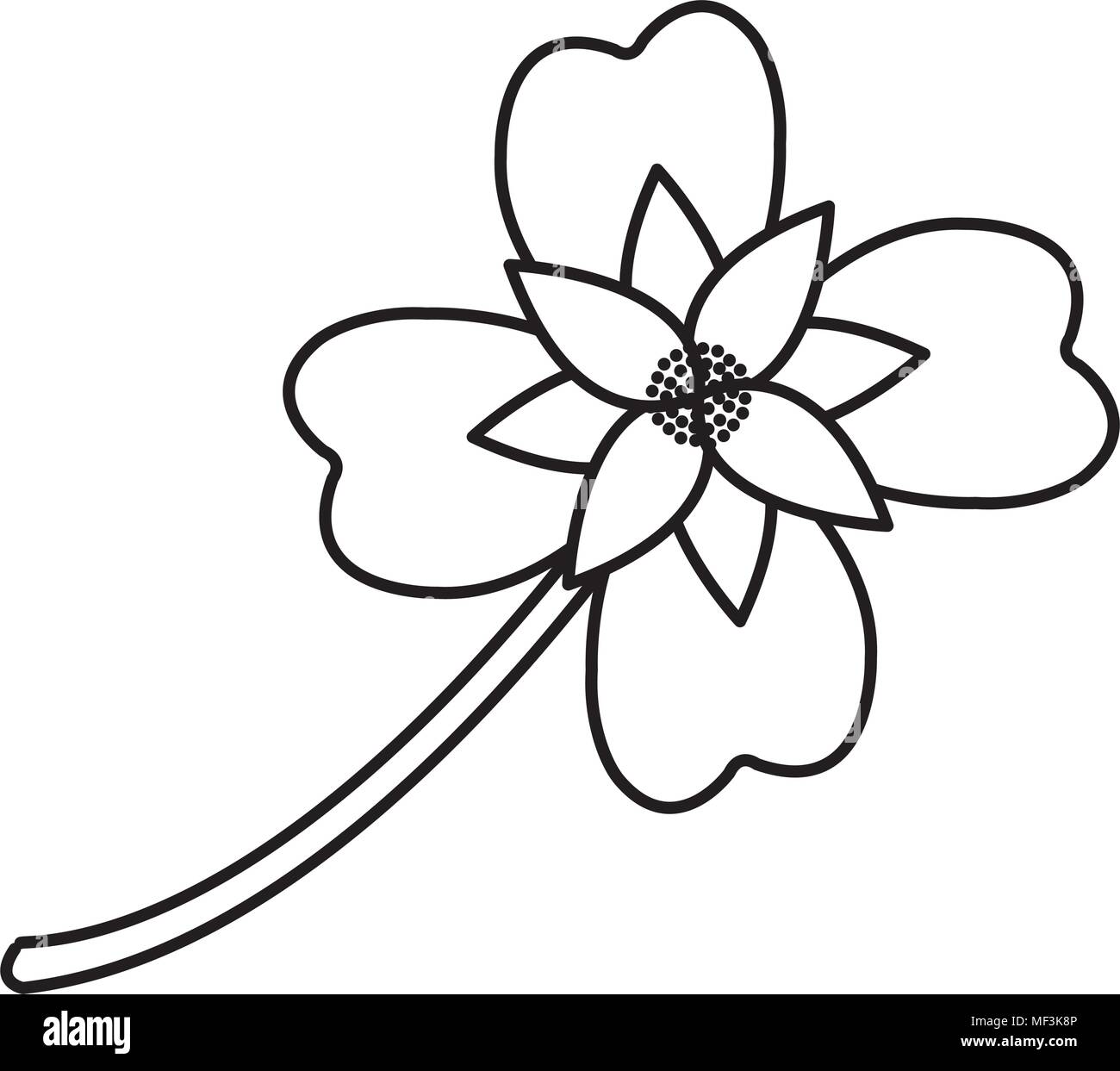 line cute natural flower plant with petals vector illustration Stock ...
