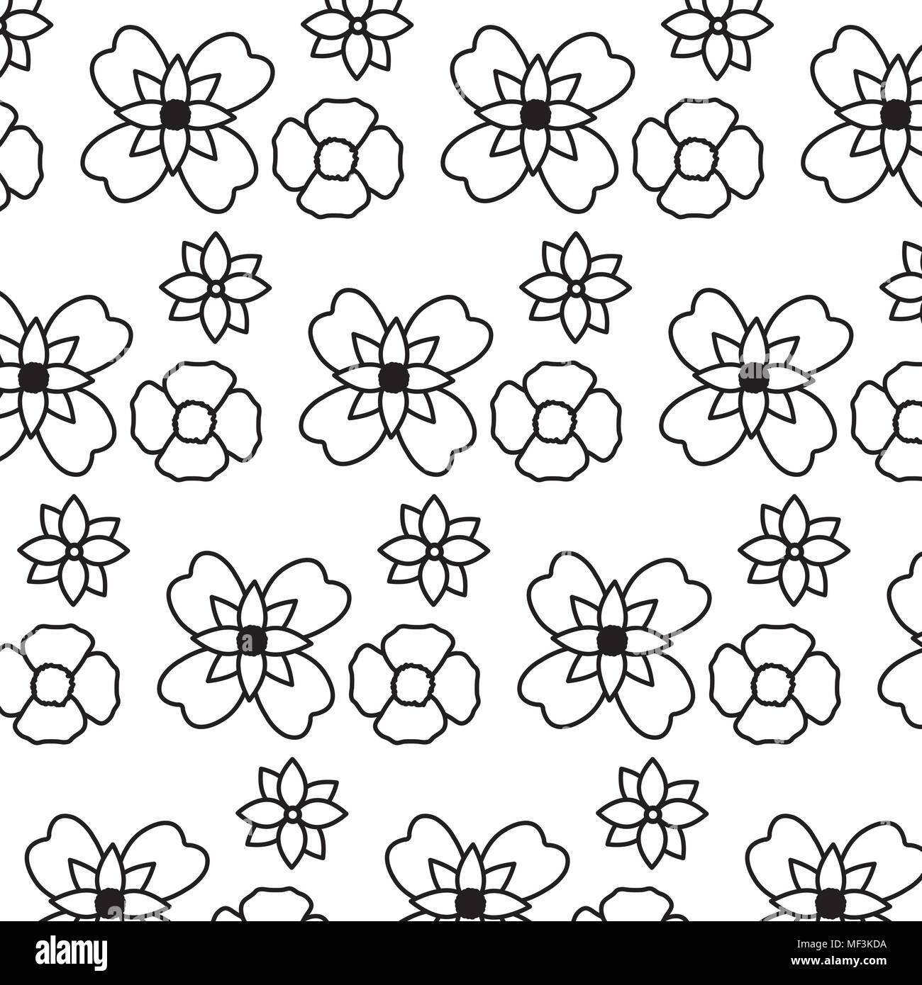 line beautiful flowers with natural petals background vector ...