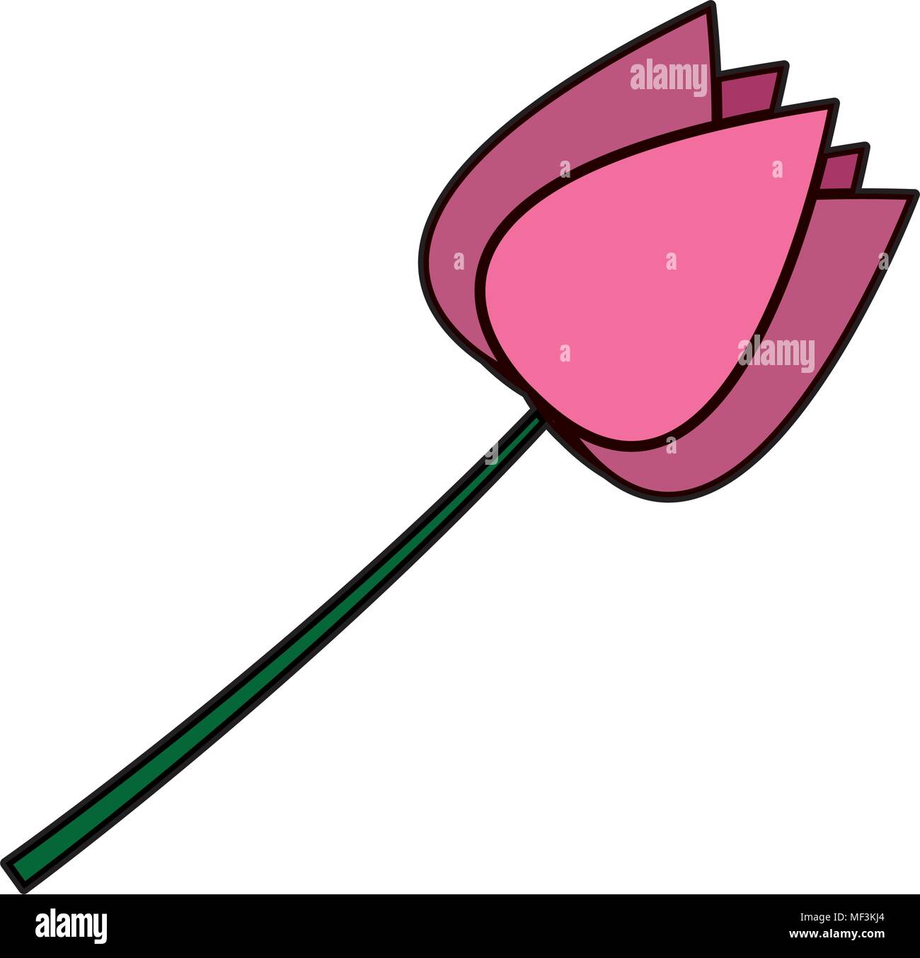 color natural flower plant with cute petals vector illustration Stock ...