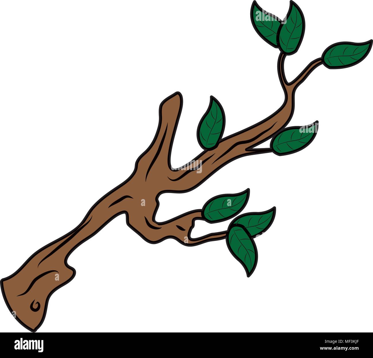 color nature tree branch with leaves design vector illustration Stock ...