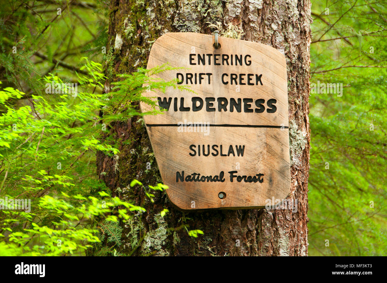 Wilderness sign, Drift Creek Wilderness, Siuslaw National Forest ...