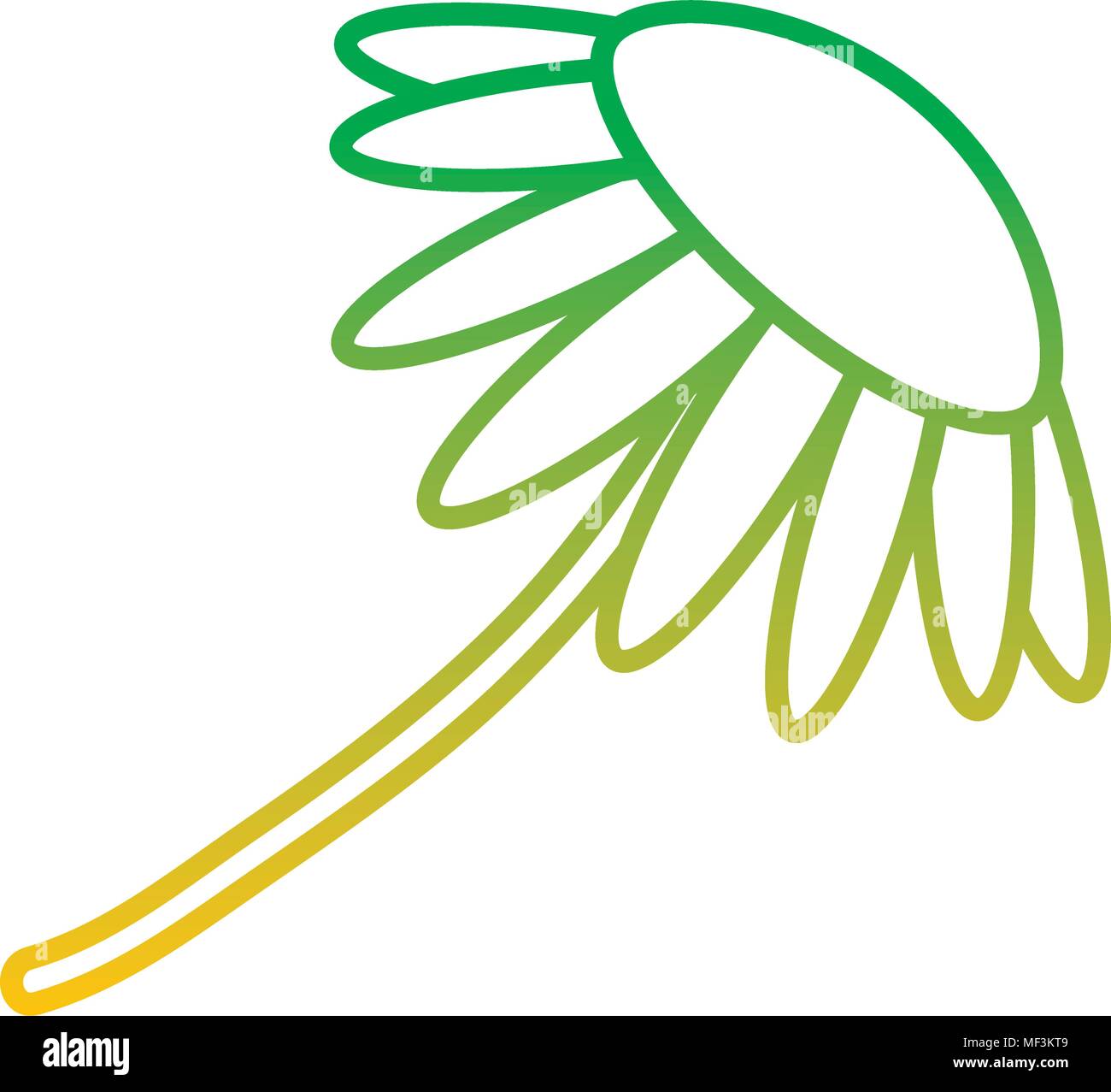 degraded line natural flower plant with petals design vector ...
