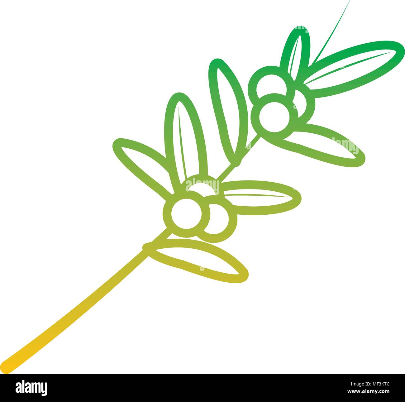 degraded line natural branch with flowers and leaves design vector ...