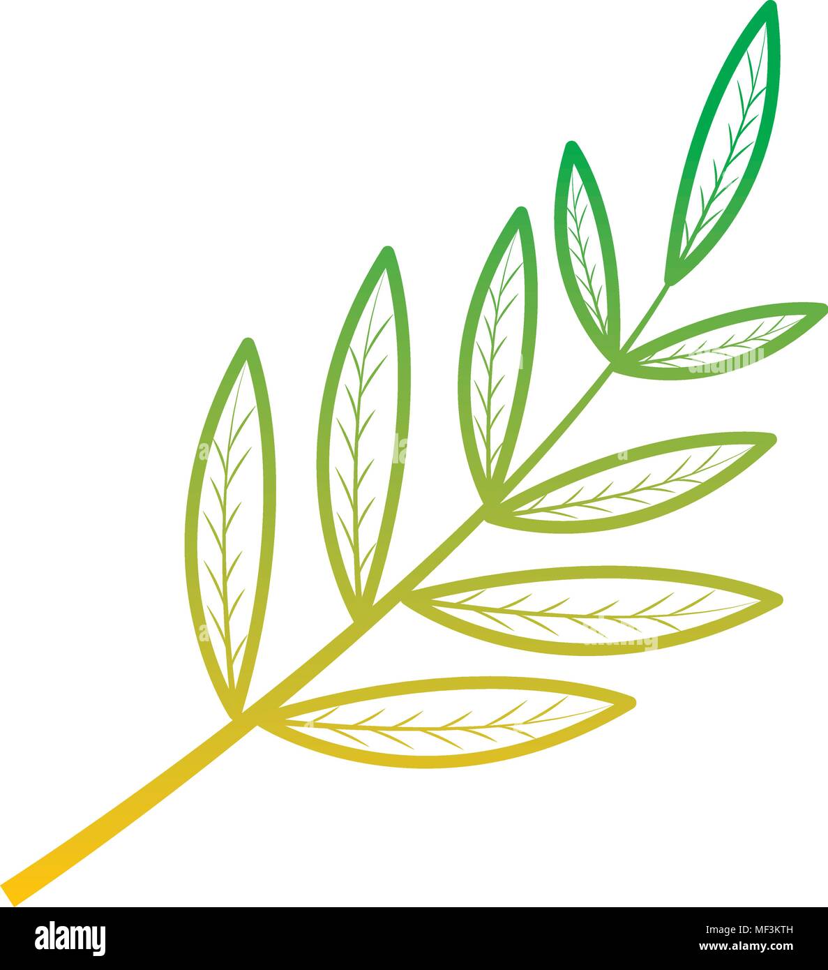 degraded line nature plant branch with leaves design vector ...