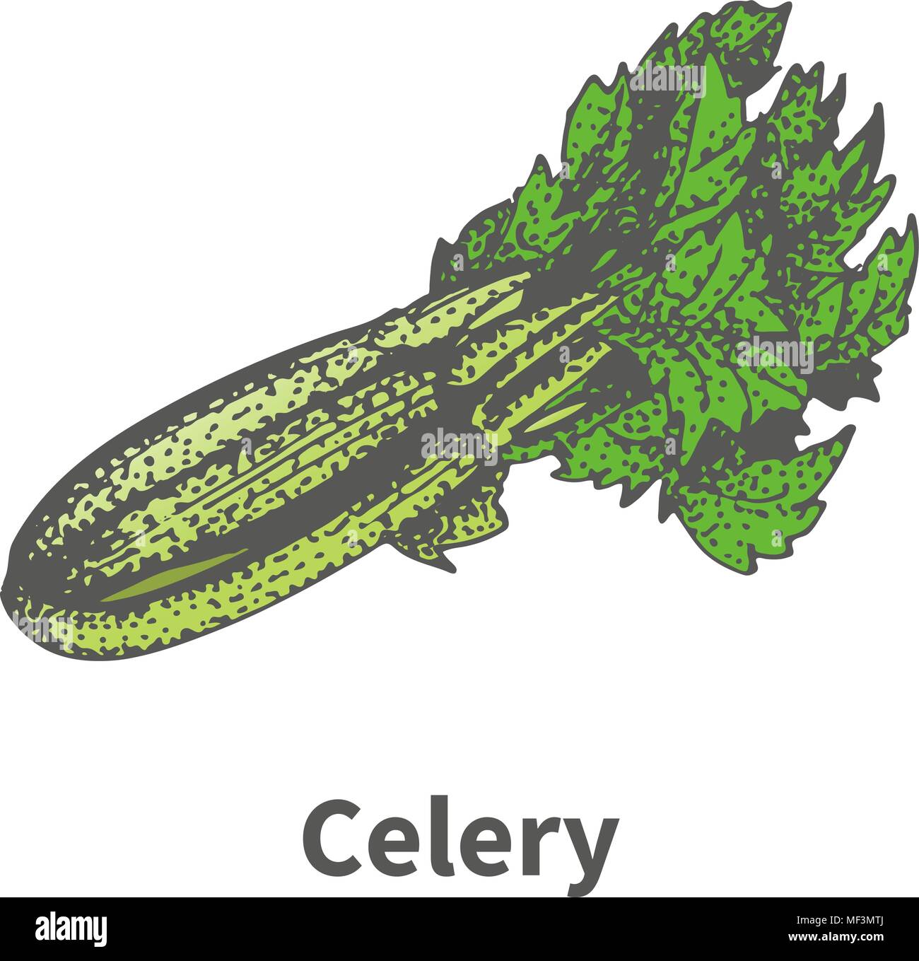 Bunch fresh white green Stock Vector Images - Alamy