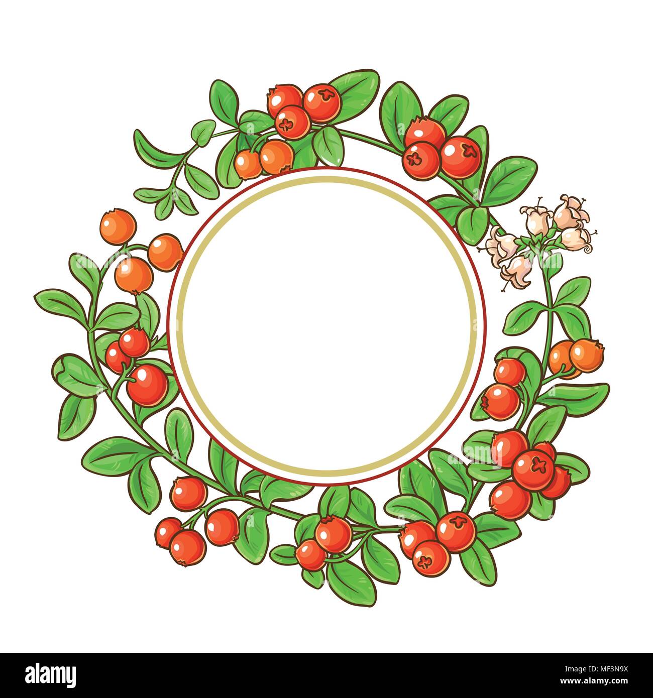 cranberry branch vector frame on white background Stock Vector Image ...