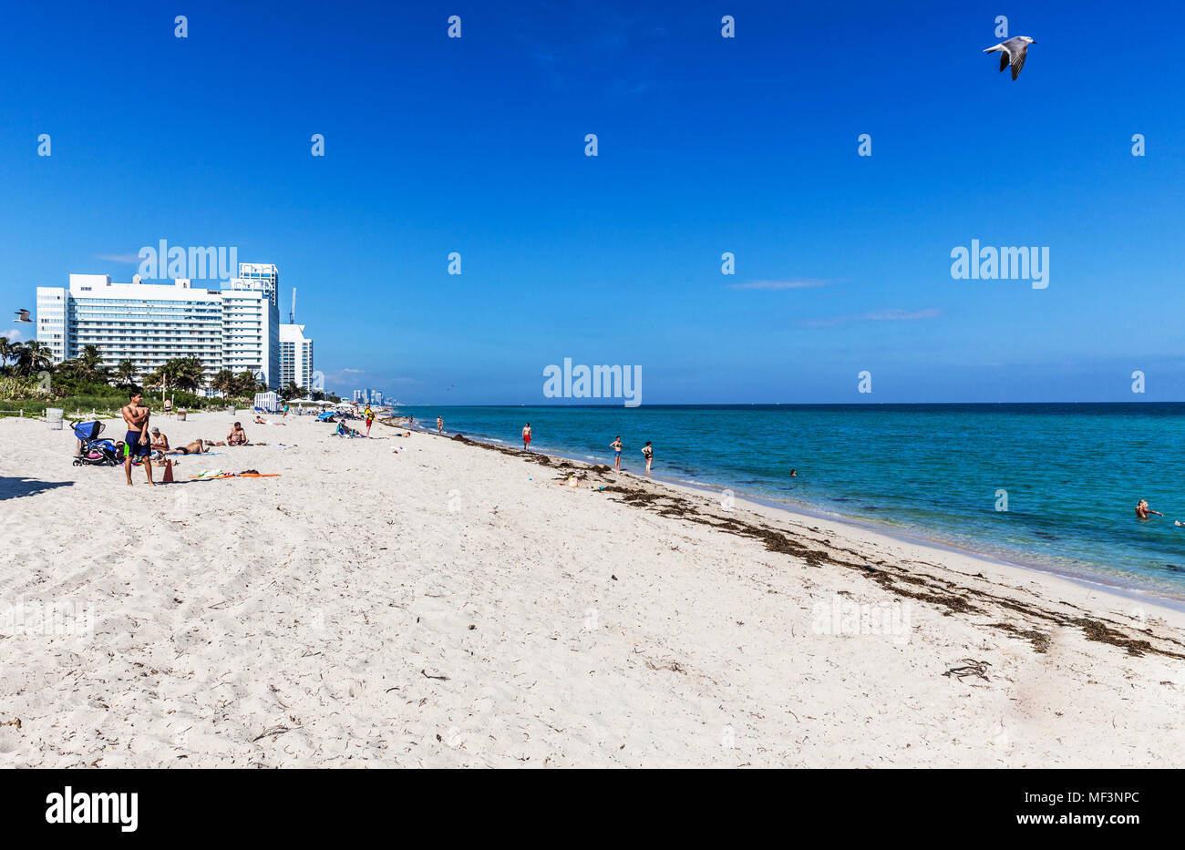 Sandy beach in Miami Beach, Miami, Florida, USA Stock Photo - Alamy