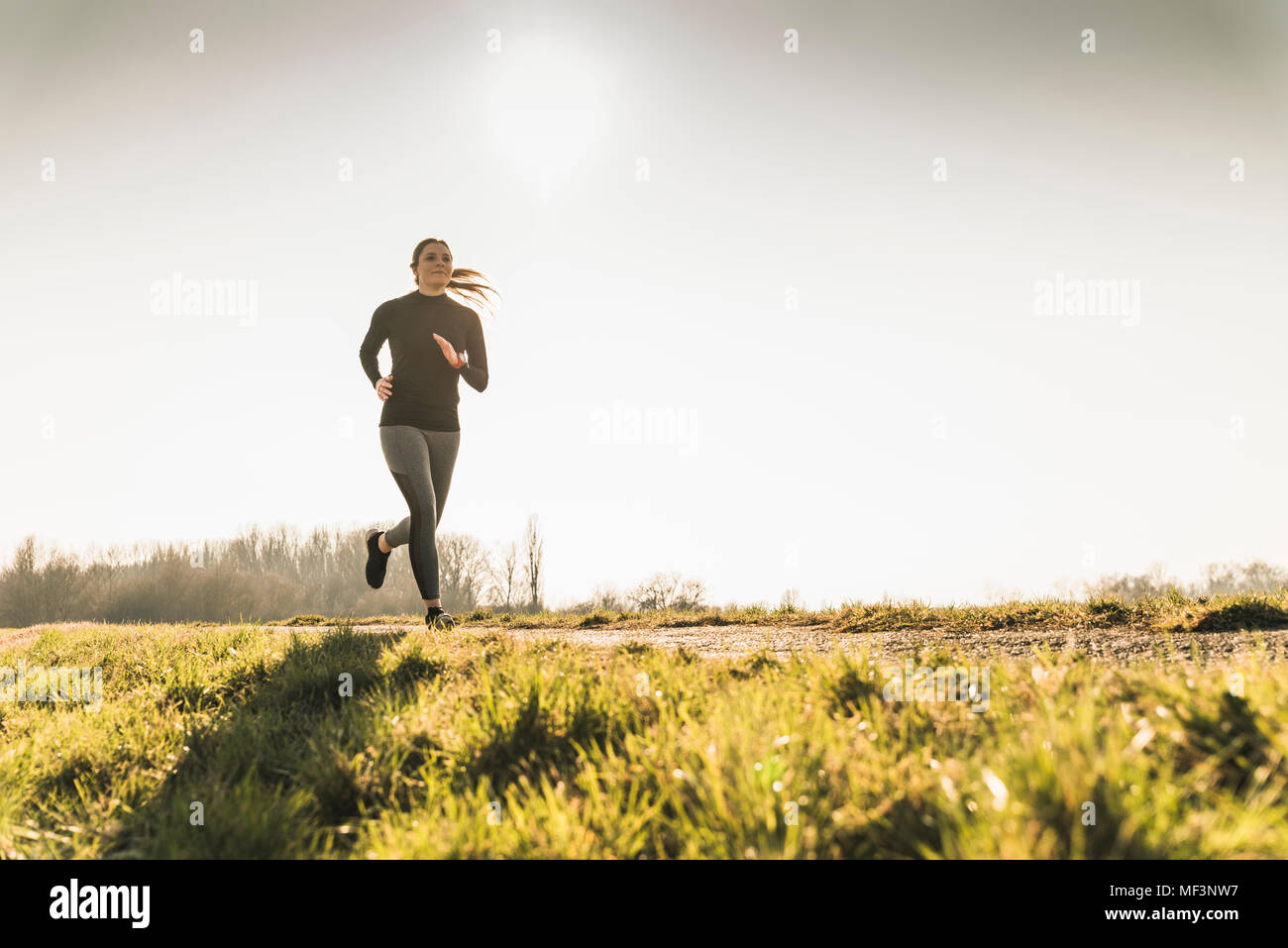 Rural path hi-res stock photography and images - Alamy