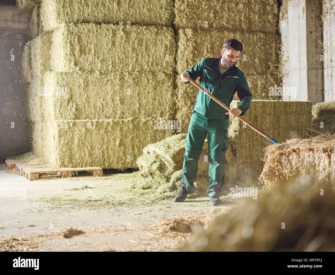Farmer working hi-res stock photography and images - Alamy