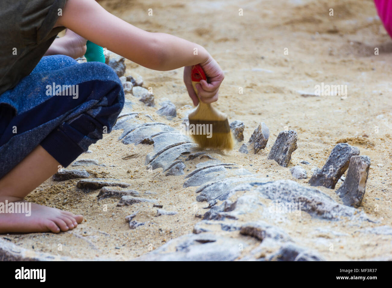 Children learning about, Excavating dinosaur fossils simulation in the ...