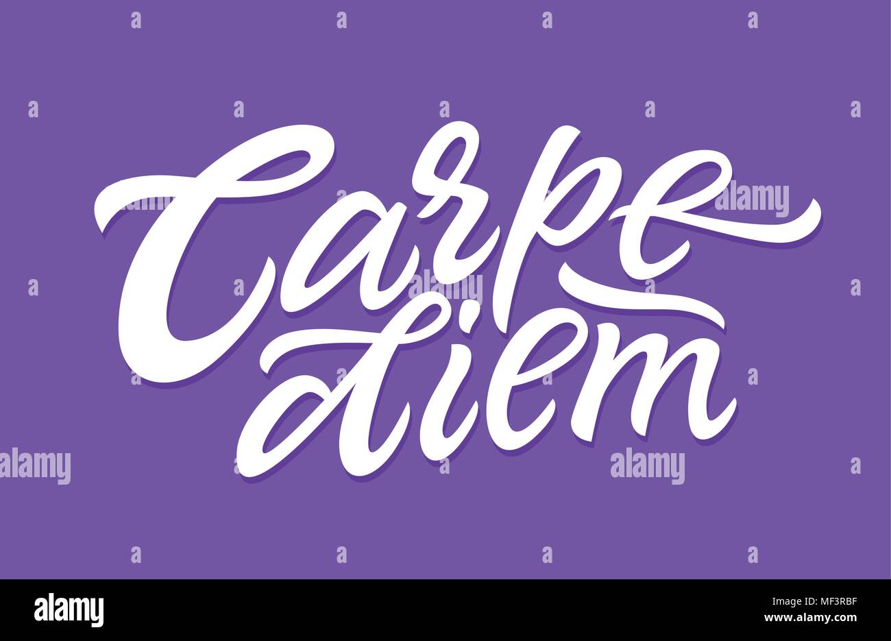 Carpe Diem - vector hand drawn brush pen lettering design illustration ...