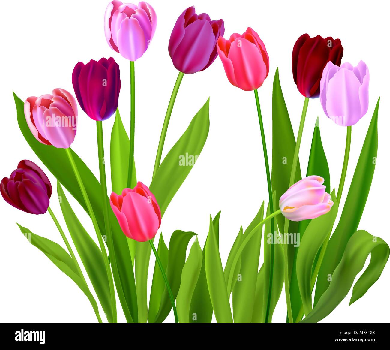 Spring Flowers Background Clipart