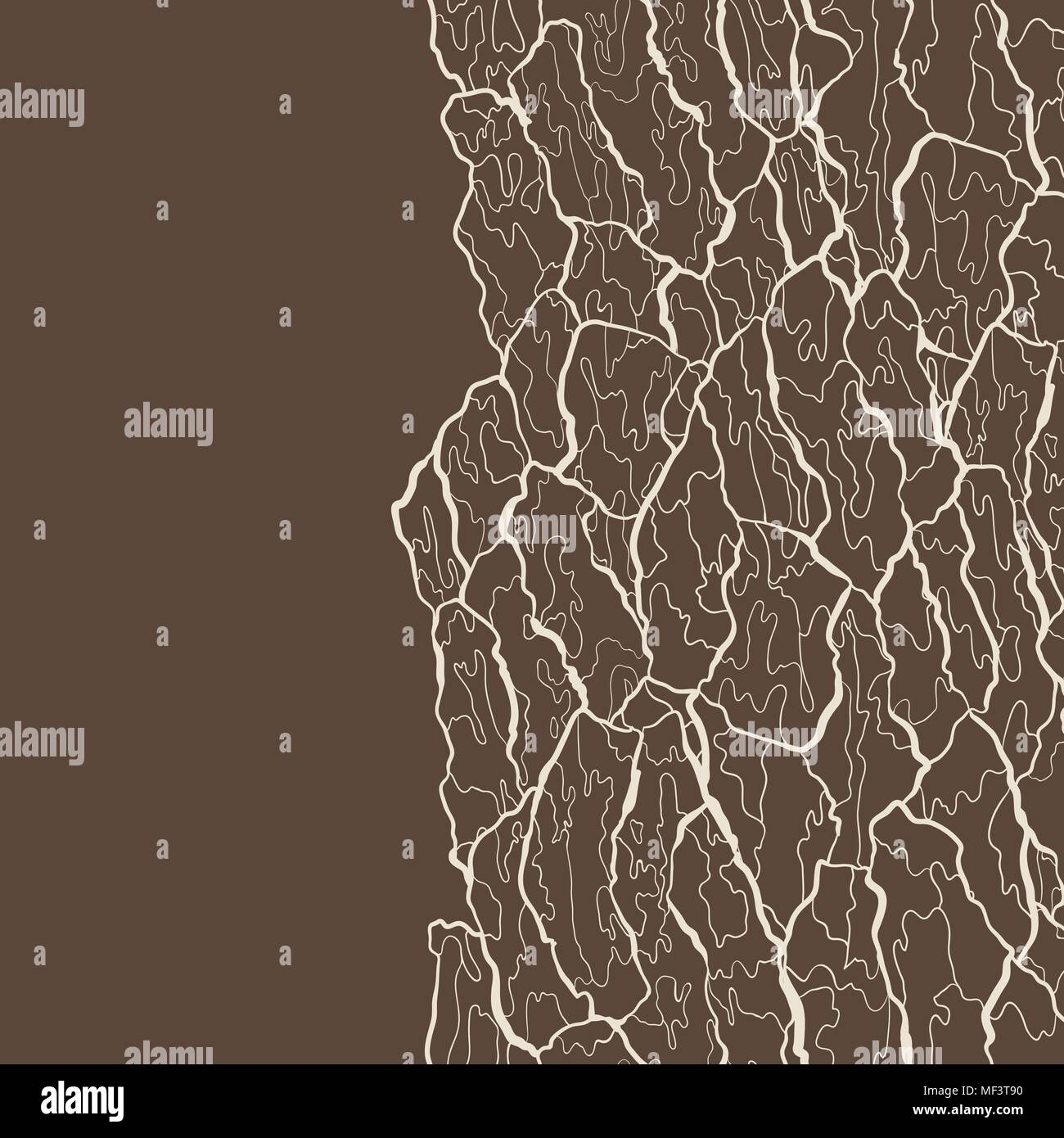 Vector seamless pattern of bark texture. Wood natural structure Stock ...