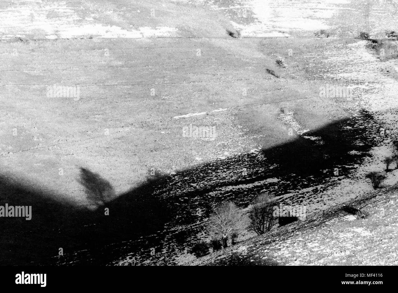 Evening light on tree Black and White Stock Photos & Images - Alamy