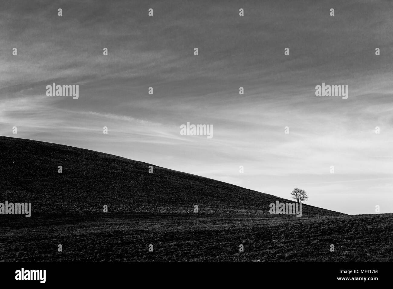 A distant, loney tree on a bare hill, beneath a deep sky with white ...