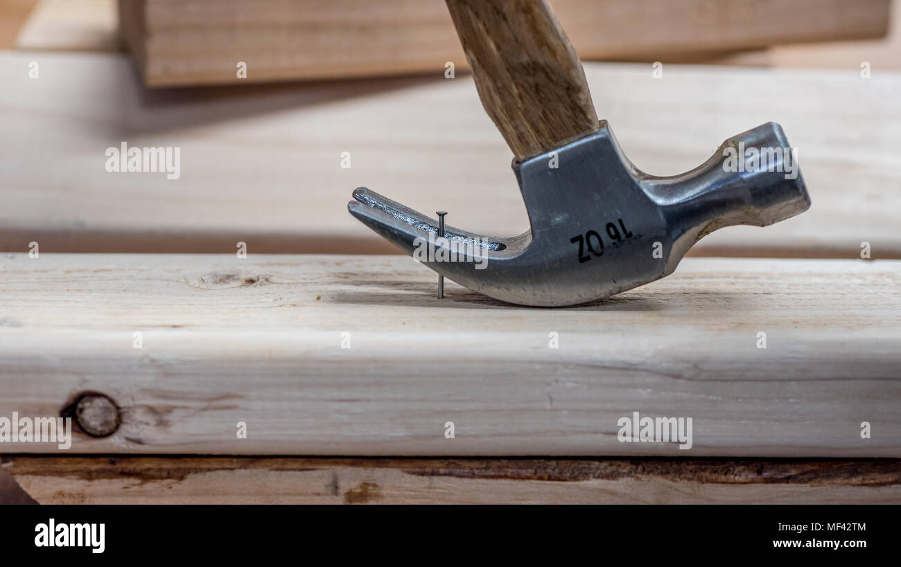 Fresh lumber ready for future projects Stock Photo - Alamy